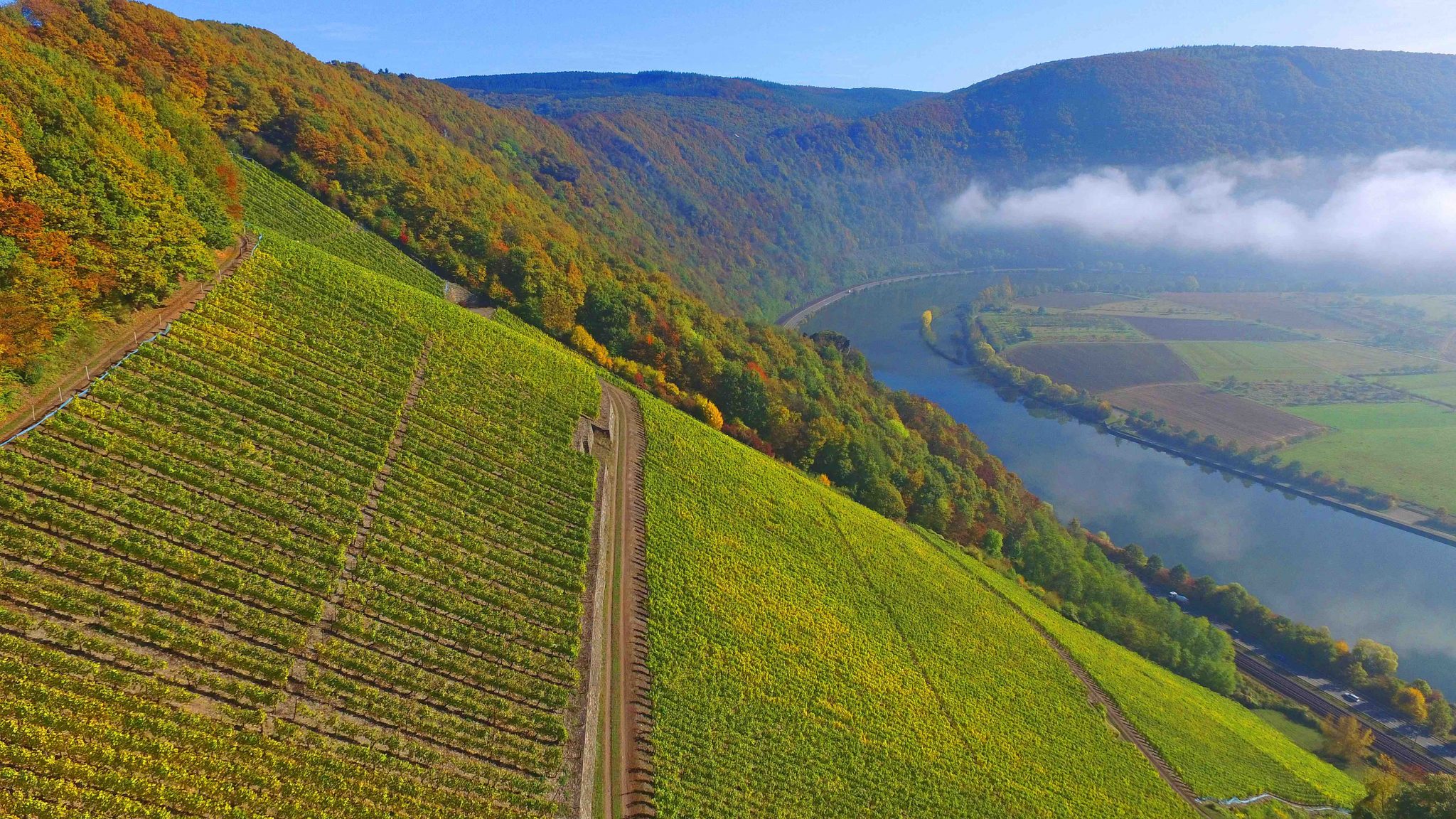 Weingut Würtzberg in Serrig/Saar - Familienweingut